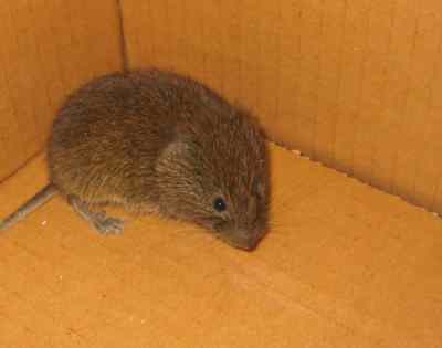 Top Five Best Inventions That Haven’t Been Invented Yet – Professional ...