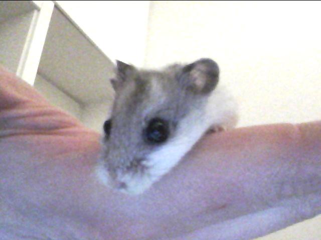 The World’s Most Unstable Animals – Professional Moron