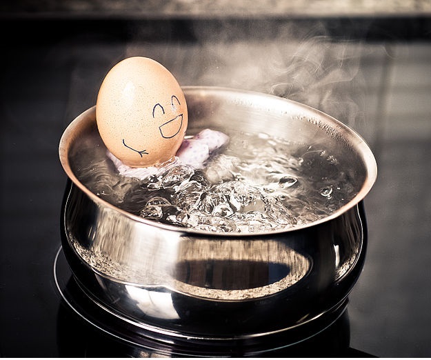 How To Have a Conversation About Eggs – Professional Moron