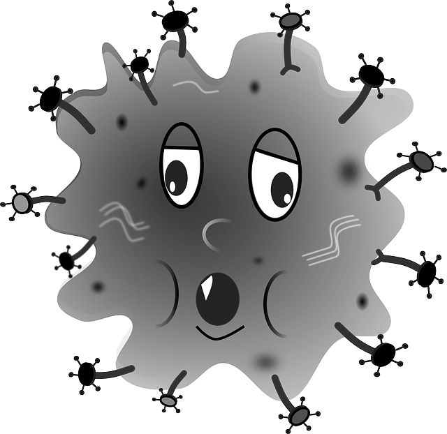 Gazuntite! The Remarkable World of Polite Sneeze Responses ...