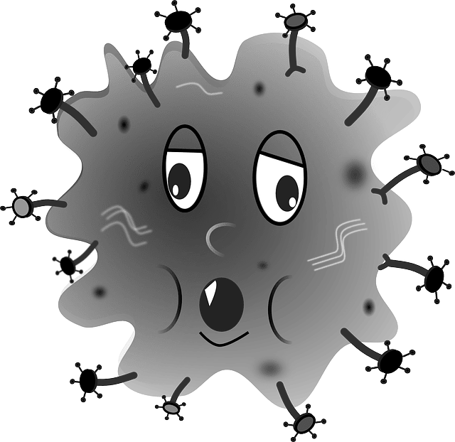Gazuntite! The Remarkable World of Polite Sneeze Responses ...