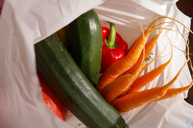 A Brief History of the Plastic Bag – Professional Moron