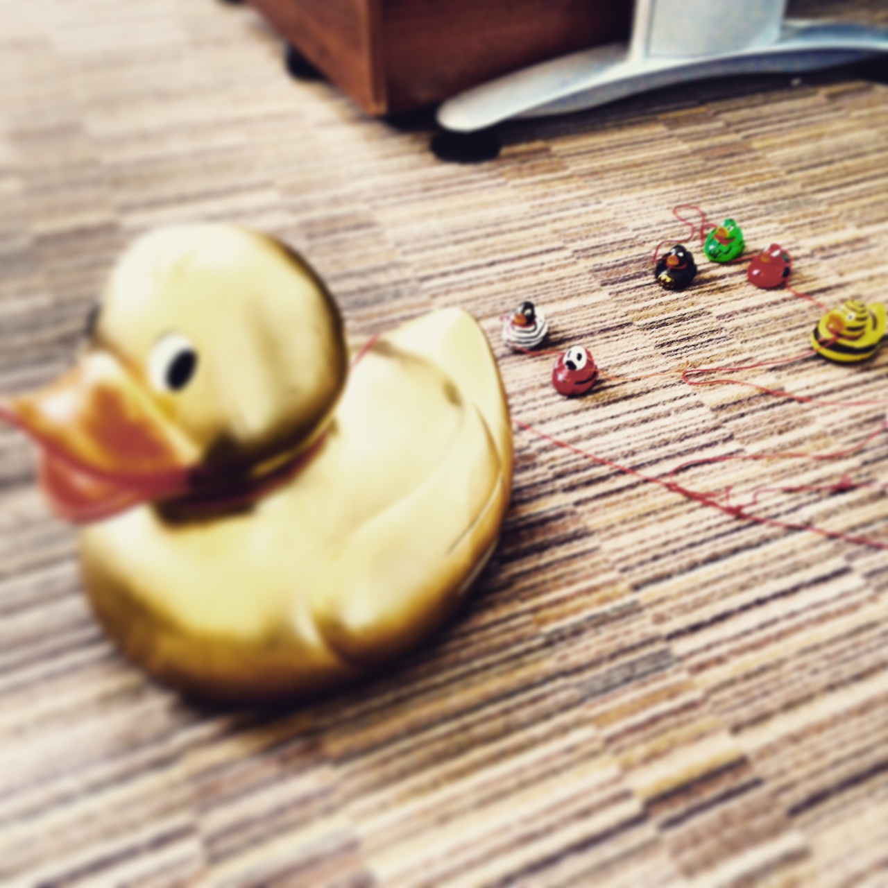 The Manchester Duck Race: All Hail Charity Fun With Ducks ...