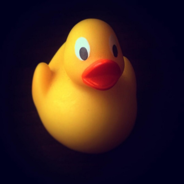 Evolutionary Theory: Why Did Rubber Ducks Evolve From Ducks ...