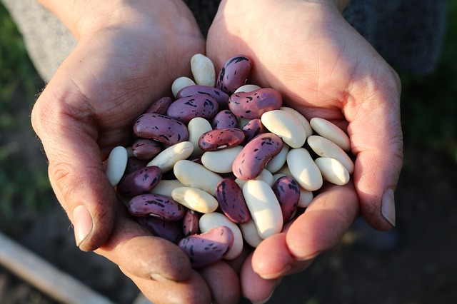 Great Sayings Revisited: Spell the beans – Professional Moron