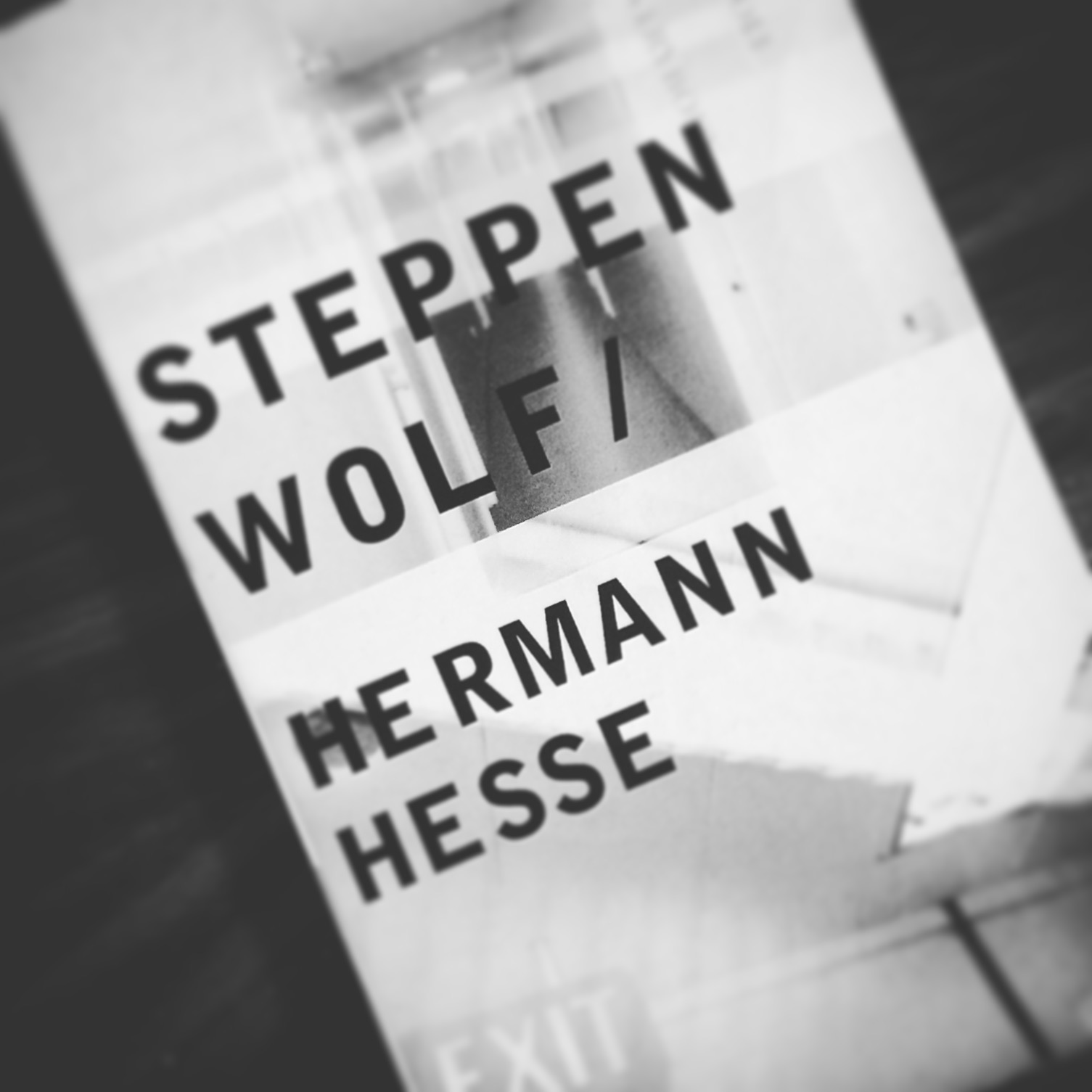 Steppenwolf by Hermann Hesse – Professional Moron