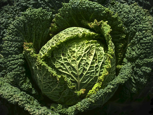 15 Classic Albums Improved By Adding “Cabbage” Into the Title ...