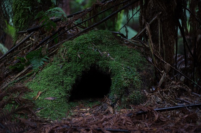 Exclusive Invention: The Microcave (like a microwave, but not ...