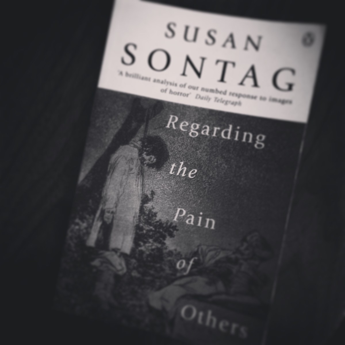 Regarding the Pain of Others by Susan Sontag – Professional Moron