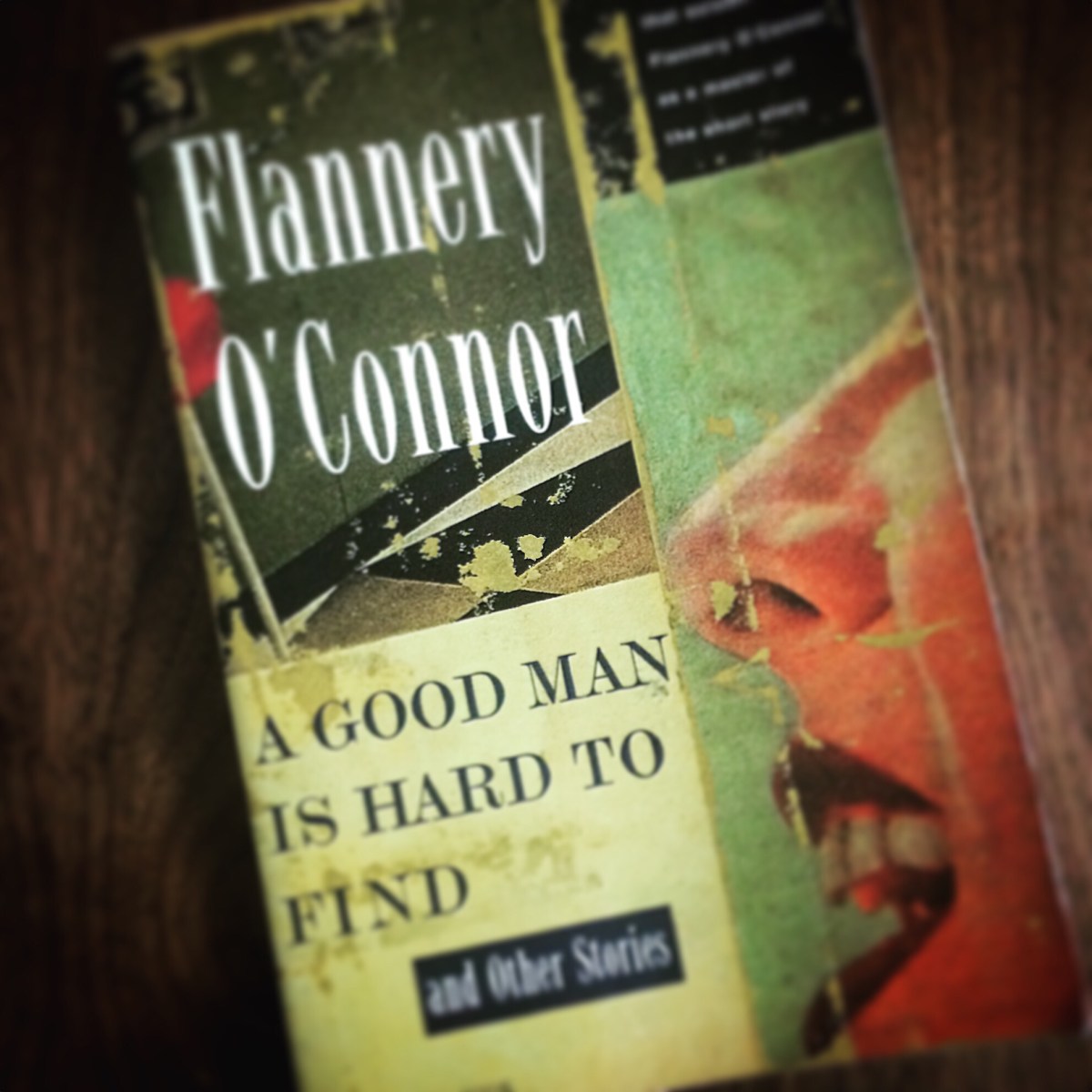 A Good Man is Hard to Find by Flannery O’Connor – Professional Moron