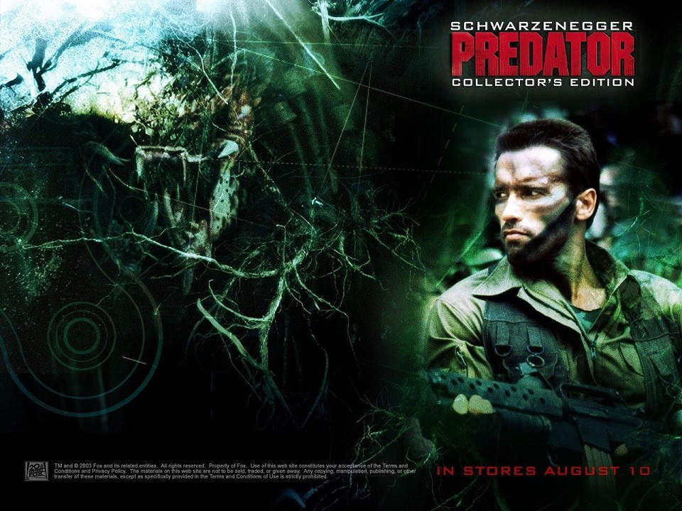 Predator: We’ve Got Time To Bleed For 1987’s Macho Masterpiece ...