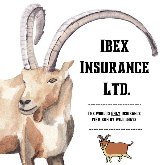 Ibex Insurance Ltd. is the GOAT [Sponsored Post] – Professional Moron