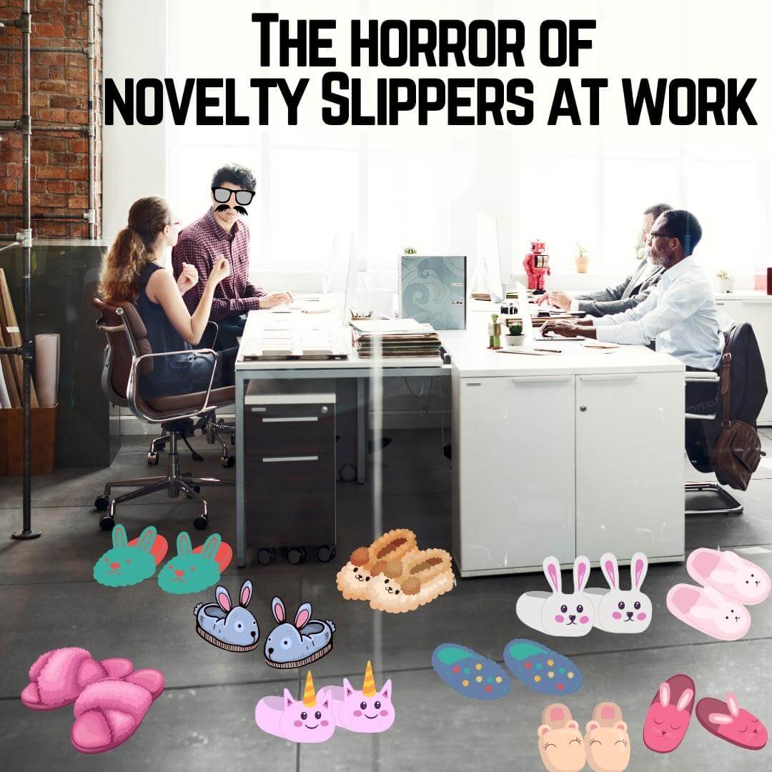 Novelty Slippers at Work Employment Law Guide – Professional Moron