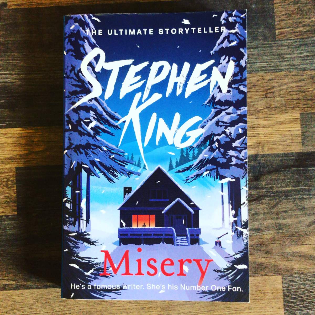 Misery by Stephen King 🪓 – Professional Moron