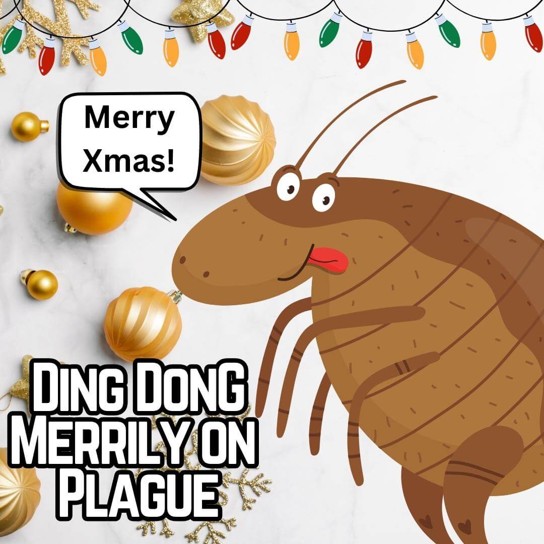 Exclusive Santa Column: The Christmas Plague Outbreak – Professional Moron