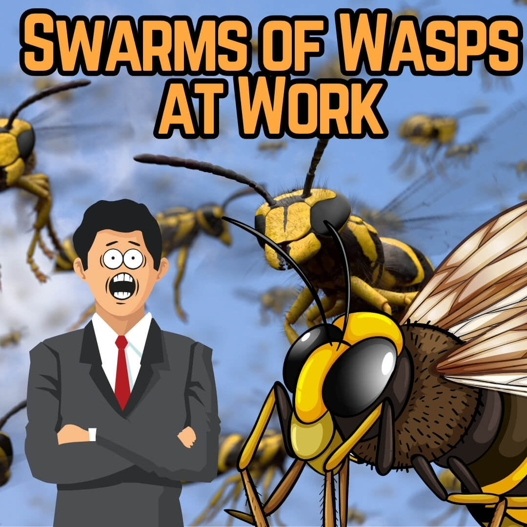 Swarms of Wasps at Work: How to Deal With Stinging Insects ...