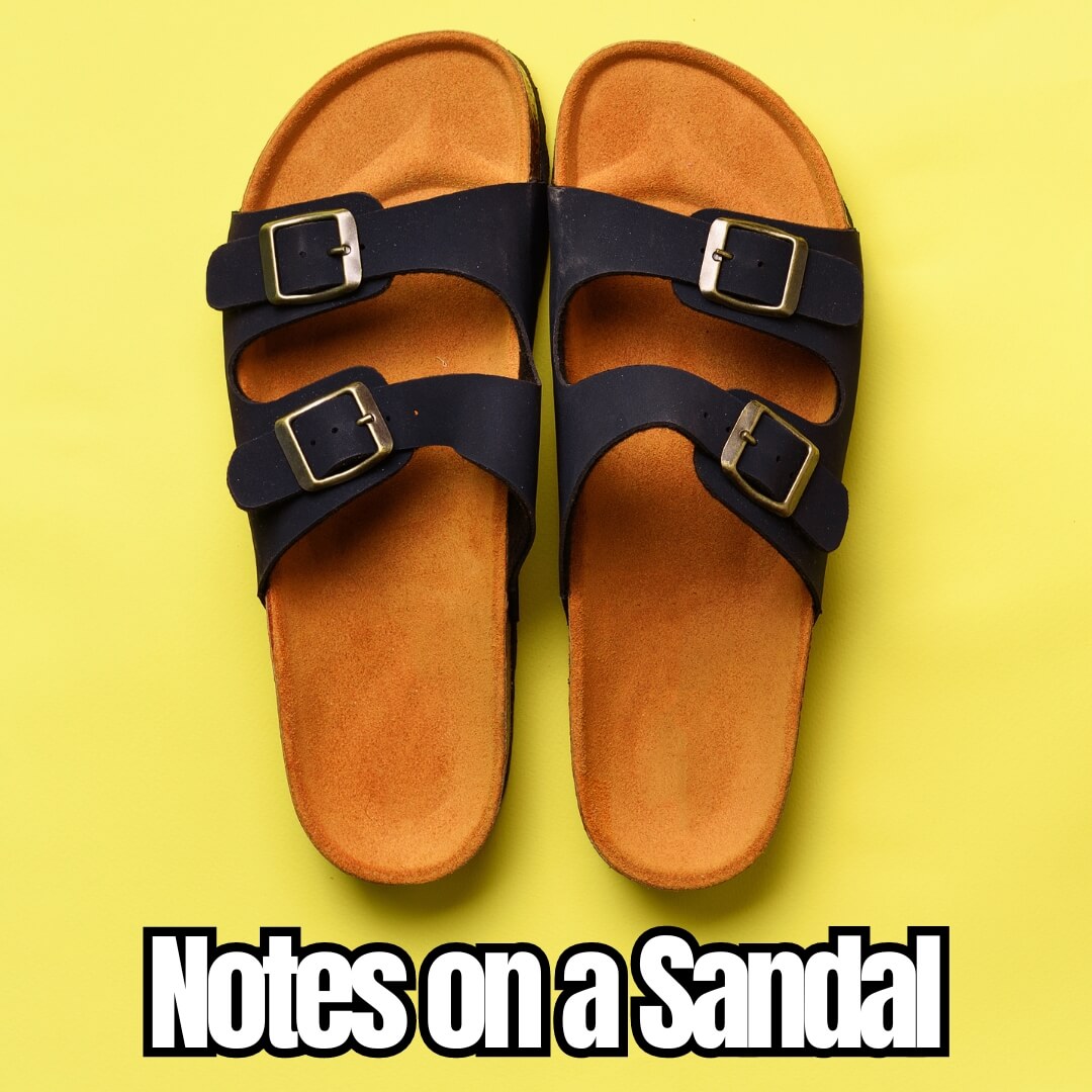 Notes on a Sandal: Great Books That Never Were 🩴 – Professional Moron