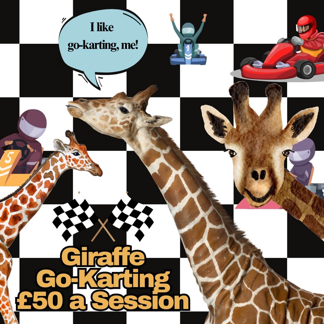 Giraffe Go-Karting 🦒 [Sponsored Post] – Professional Moron