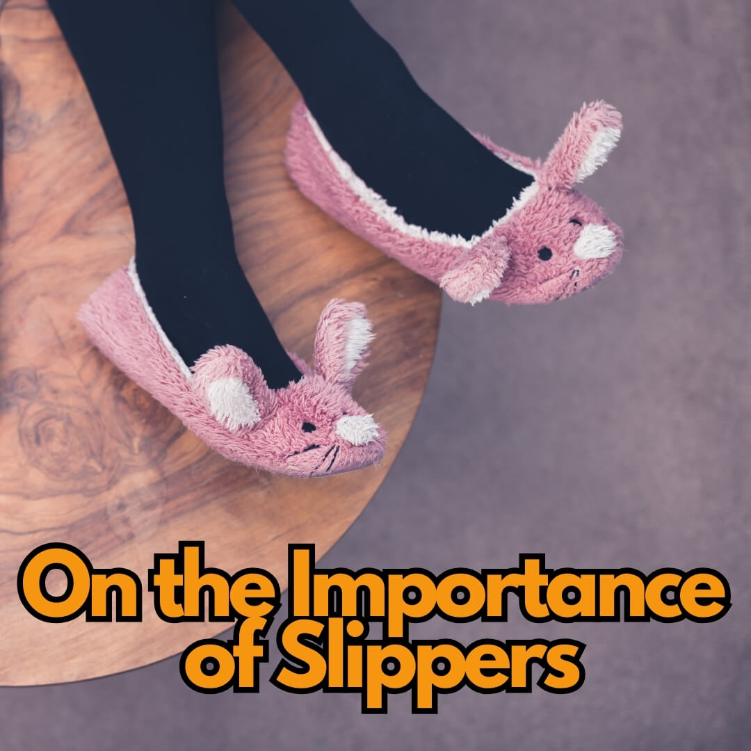 On the Importance of Slippers (an ode to turning 40) 🥿 – Professional Moron