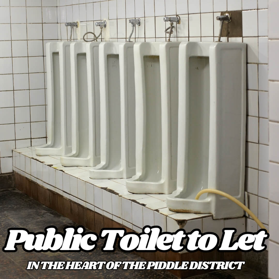 Public Toilet to Let: Modern Rental Space in the Piddle District 🚽 ...